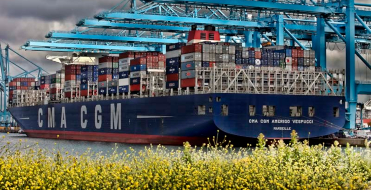 ITF: Konttivarustamoiden allianssit lietsovat alalle vaarallista ...